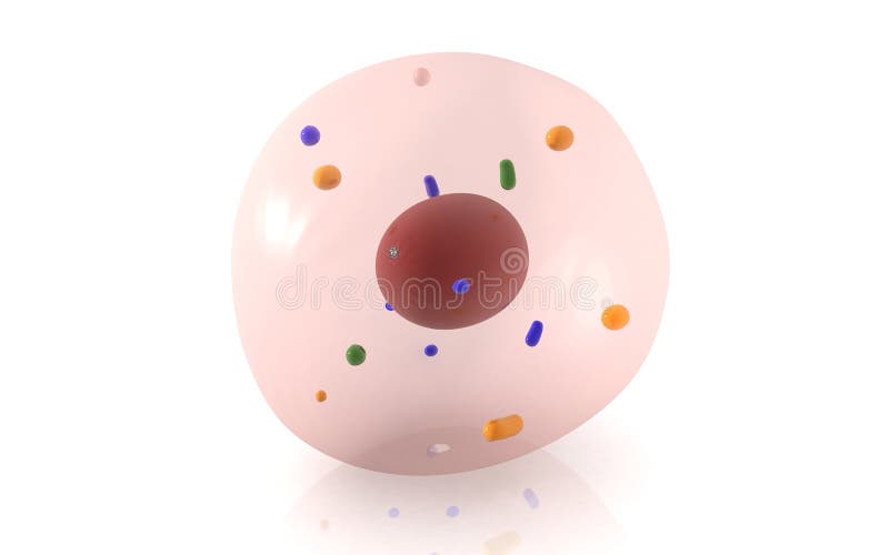 3D Illustration of Human Cell on White Stock Illustration ...