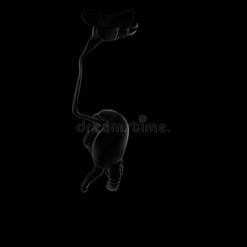 3D Illustration of Human Digestive System Black Background. Front View ...
