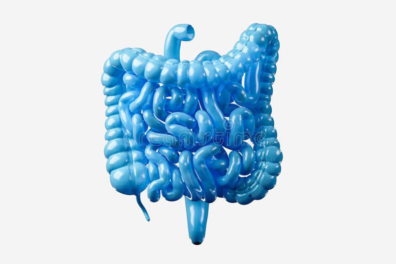 3d Illustration of Human Intestine Made of Blue Plastic Stock ...