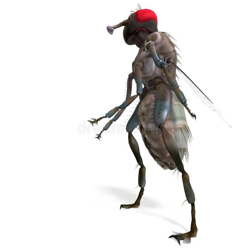 3d-illustration of an Isolated Huge Fly Stock Illustration ...