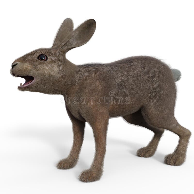 3d-illustration of an Isolated Talking Rabbit Animal Pet Stock ...