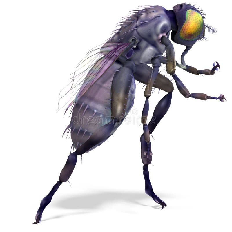 3d-illustration of an Isolated Terrible Blue Huge Fly Stock ...