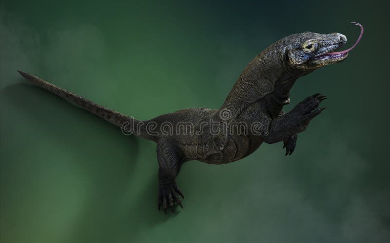 3d Illustration Komodo Dragon Pose on Green Studio. Stock Illustration ...