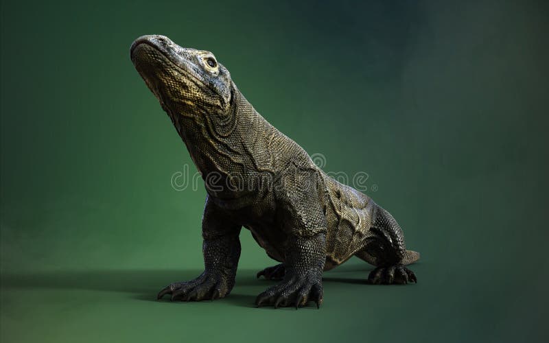 3d Illustration Komodo Dragon Pose on Green Studio. Stock Illustration ...