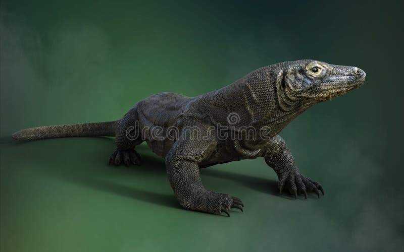 3d Illustration Komodo Dragon Pose on Green Studio. Stock Illustration ...