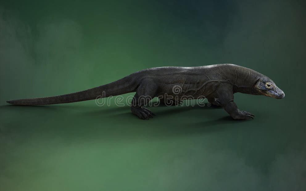 3d Illustration Komodo Dragon Pose on Green Studio. Stock Illustration ...