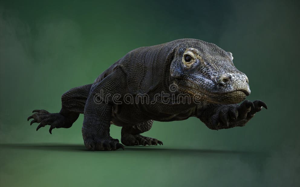 3d Illustration Komodo Dragon Pose on Green Studio. Stock Illustration ...