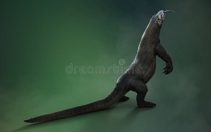 3d Illustration Komodo Dragon Pose on Green Studio. Stock Illustration ...