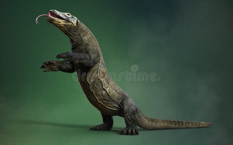3d Illustration Komodo Dragon Pose on Green Studio. Stock Illustration ...