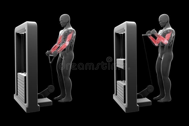 3d Illustration of Low Cable Rope Curl Stock Illustration ...