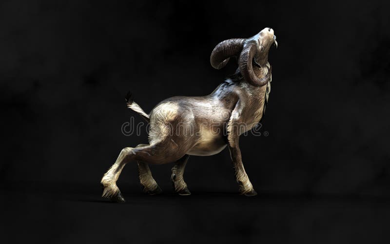 Goat Pose Isolate on Black Background with Clipping Path. Stock ...