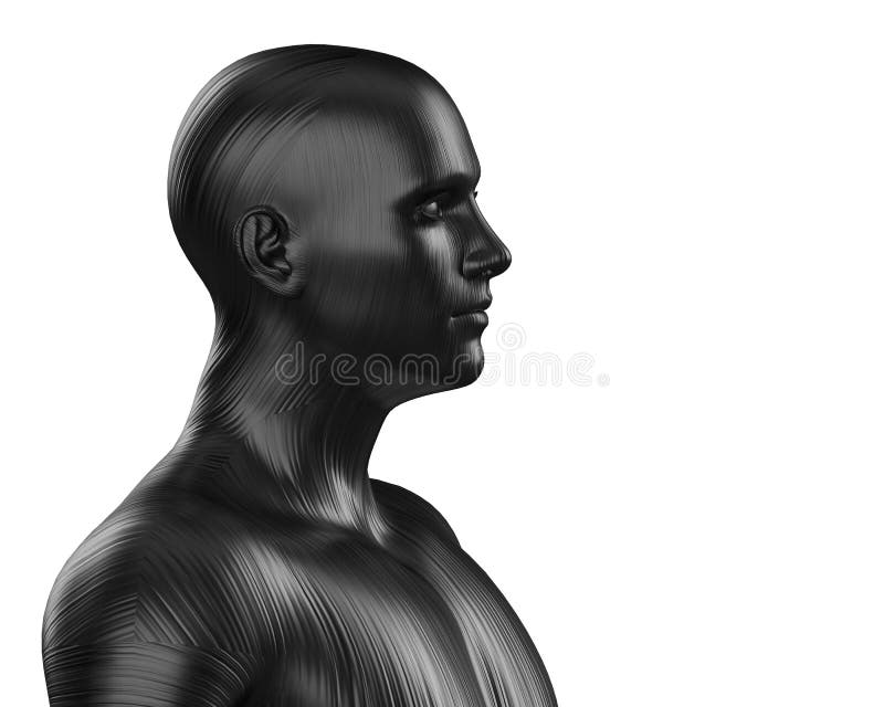 Bald Head Texture Stock Illustrations – 248 Bald Head Texture Stock ...