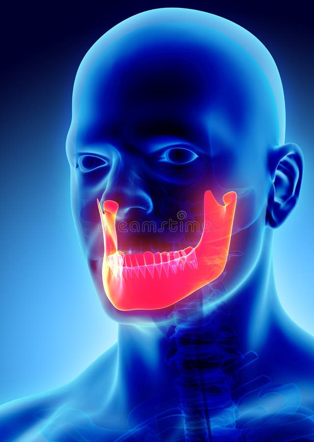 3D Illustration of Mandible, Medical Concept. Stock Illustration ...