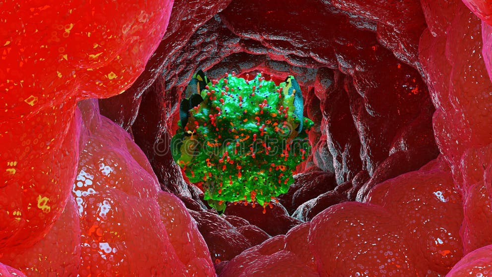 3d Illustration of Mastocyte, Mast Cell, Stock Illustration ...