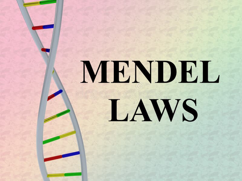 MENDEL LAWS concept stock illustration. Illustration of green - 114260981