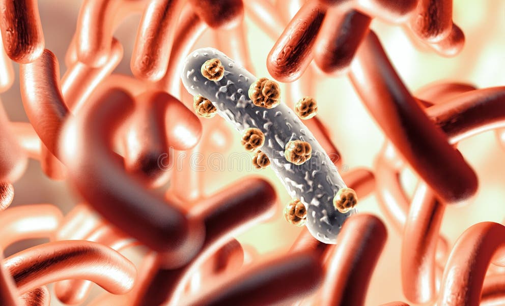 Microbacteria and Bacterial Organisms.biology and Science Background ...