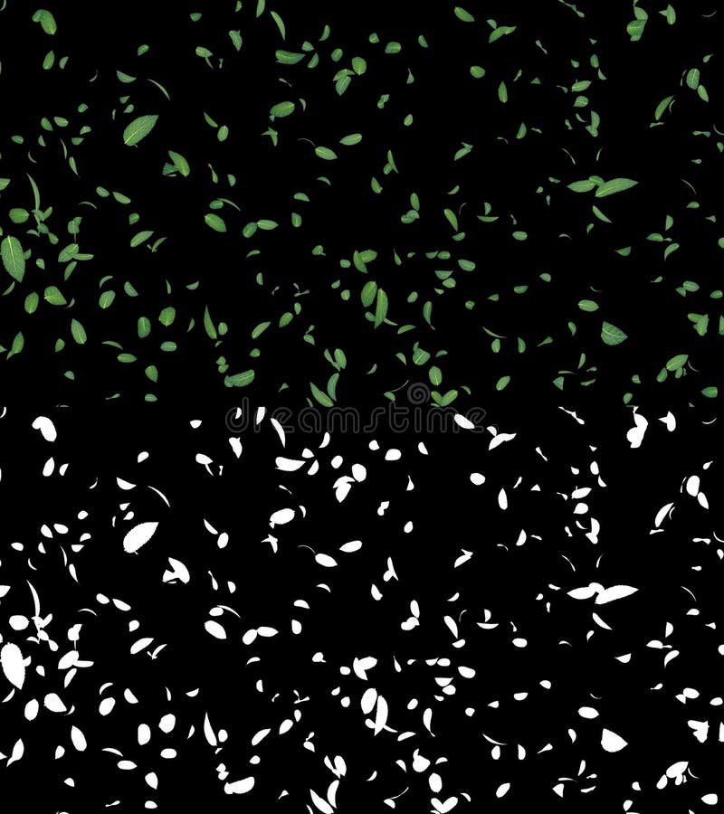 3D Illustration of a Mint Leaves Flow with Alpha Layer Stock ...