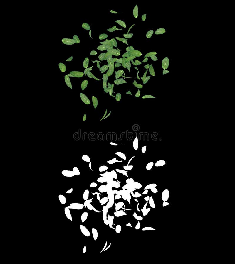3D Illustration of a Mint Leaves Flow with Alpha Layer Stock ...