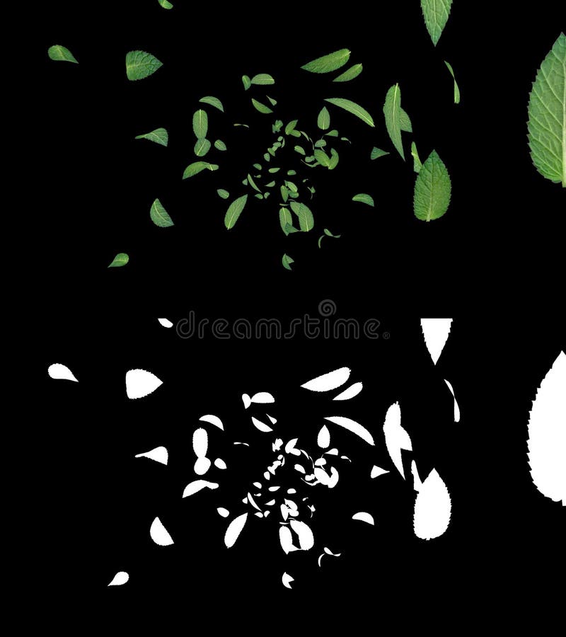 3D Illustration of a Mint Leaves Flow with Alpha Layer Stock ...