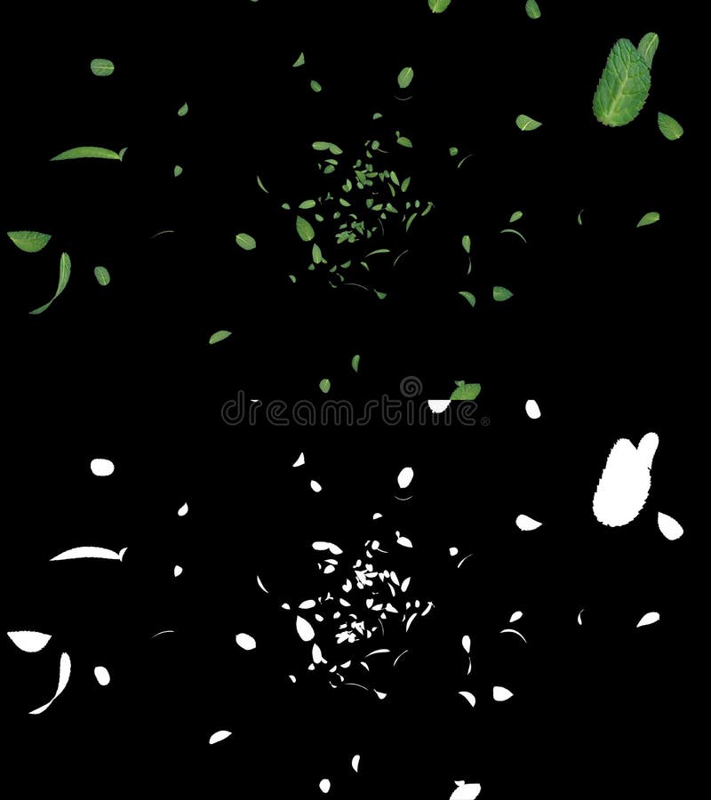 3D Illustration of a Mint Leaves Flow with Alpha Layer Stock ...