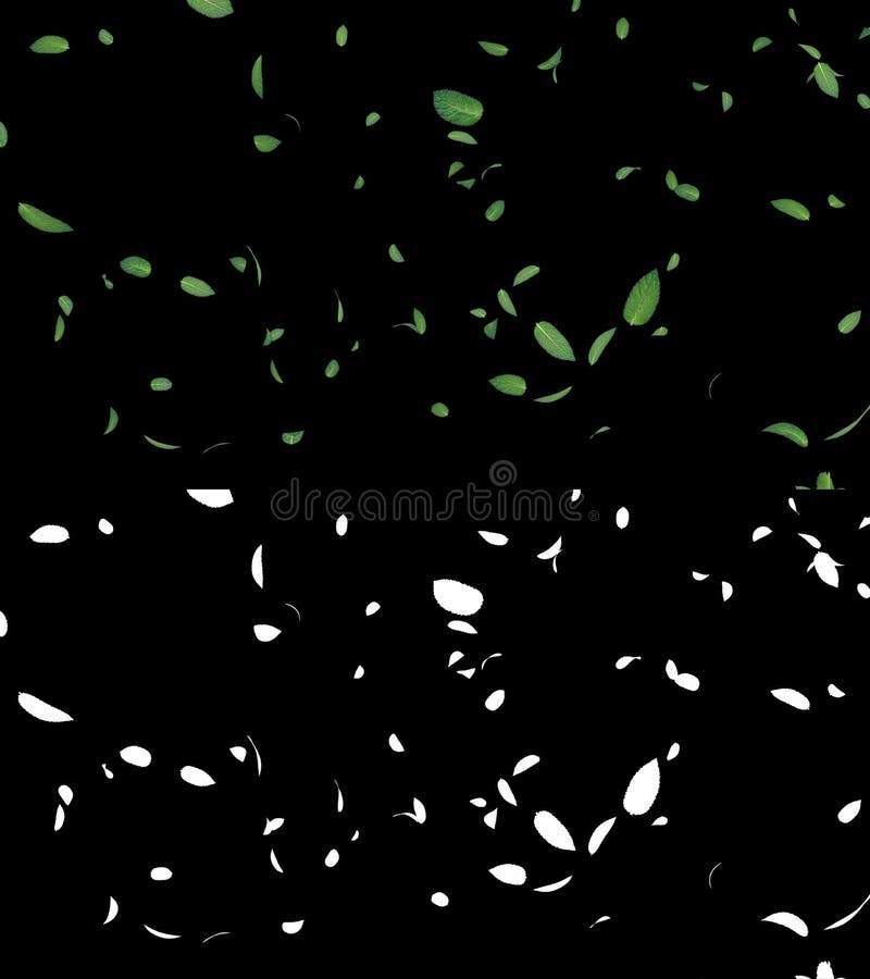 3D Illustration of a Mint Leaves Flow with Alpha Layer Stock ...