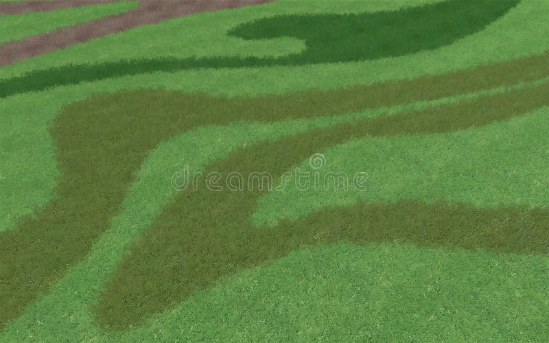 Contrasting Composition of Different Lawn Surfaces in Smooth Lines ...