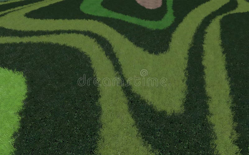 Contrasting Composition of Different Lawn Surfaces in Smooth Lines ...