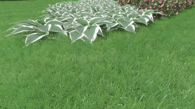 3D Illustration of a Modern Landscape Design of a City Square. Texture ...