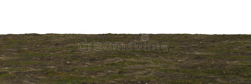 3d Illustration of Moss Covered Rock Ground Texture, Ground Material ...