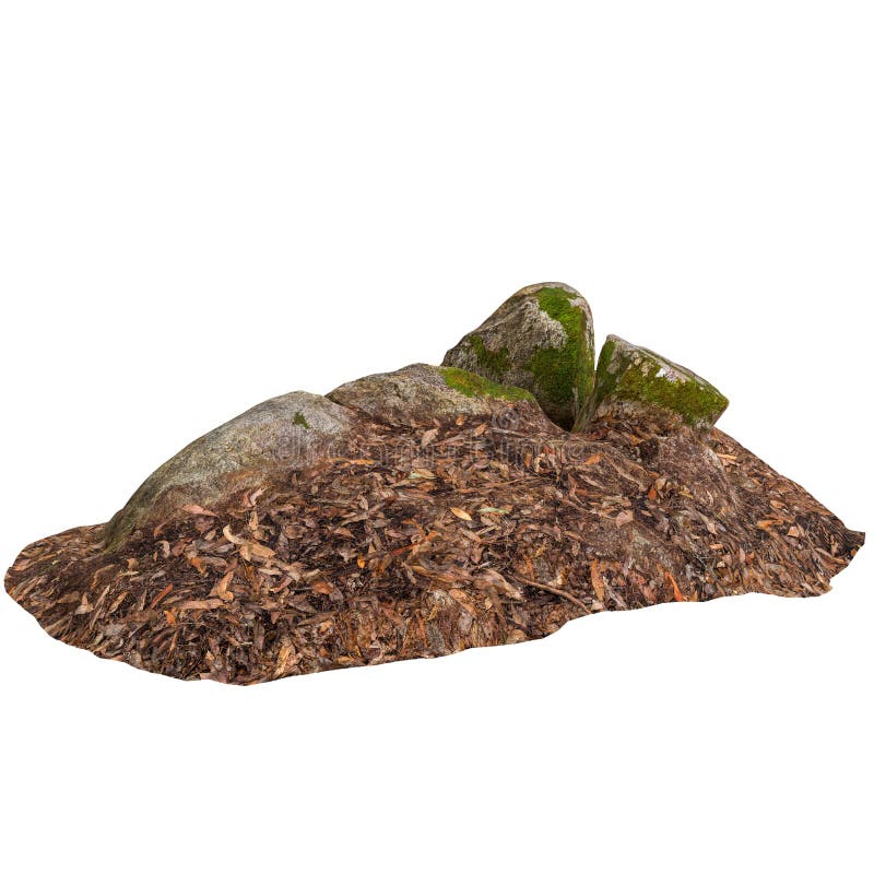 3d Illustration of Moss Covered Rocks, Set on Dry Leaves Isolated on ...