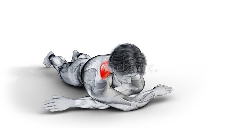 3d Illustration of Muscular Character from Different Angles Showing an ...