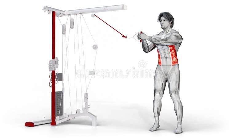 3d Illustration of a Muscular Man Practicing Obliques-Cable Wood ...