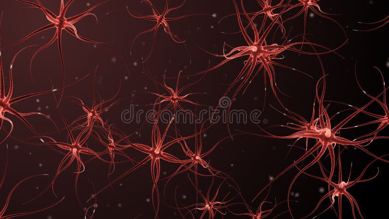 3d Illustration of Neurons Forming a Neural Network Stock Illustration ...