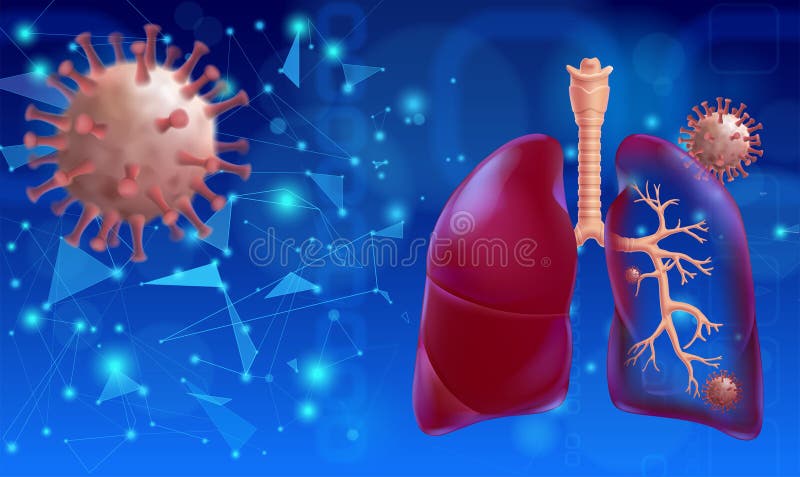 3D Illustration of Partially Translucent Human Lungs To Highlight the ...