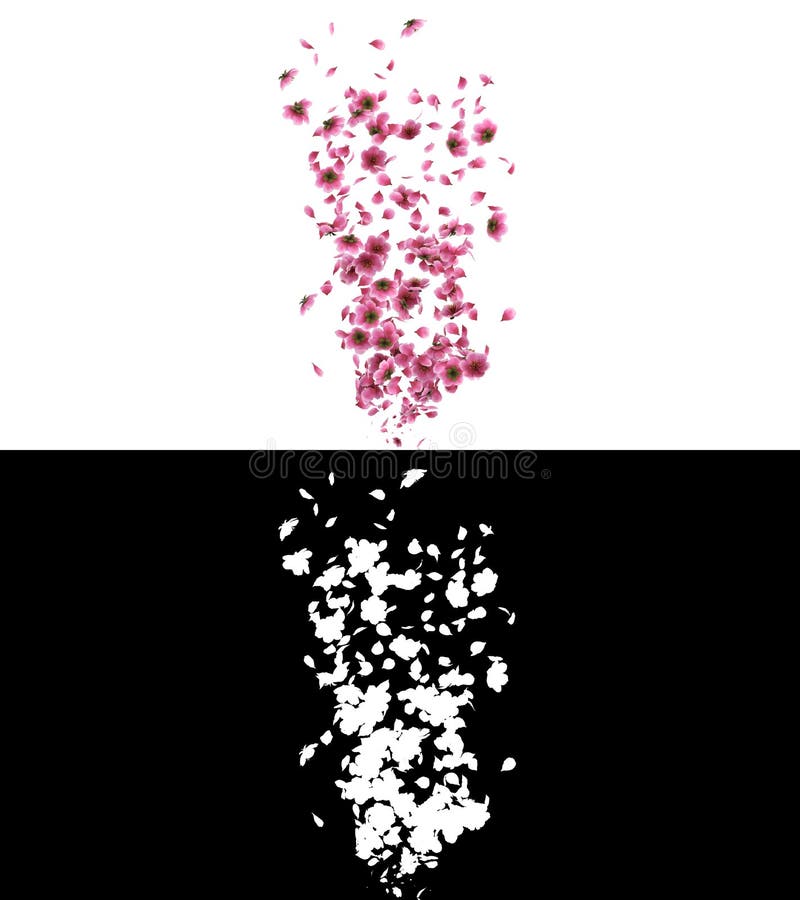 3D Illustration of a Pink Cherry Sakura Flower Petals Flow with Alpha ...