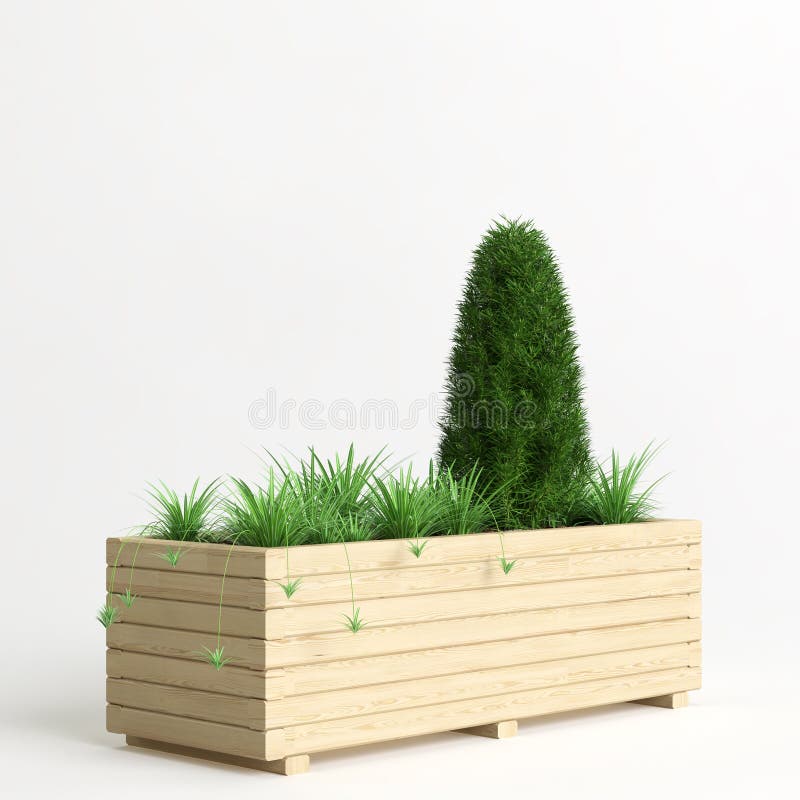 3d Illustration of Potted Plants Isolated on White Background Stock ...