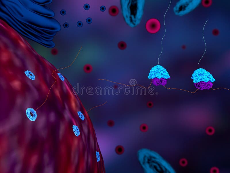 Protein translation stock illustration. Illustration of biomedical ...