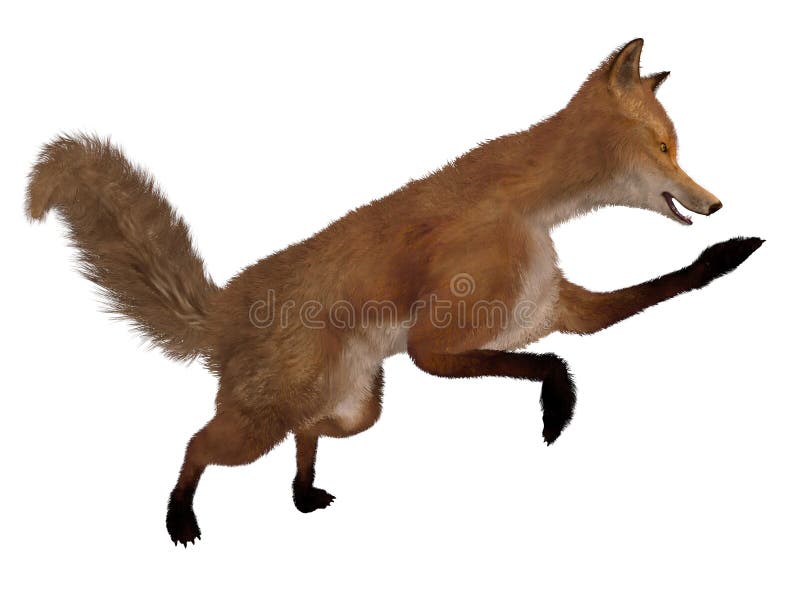 3d Illustration of an Realistic Fox Stock Illustration - Illustration ...