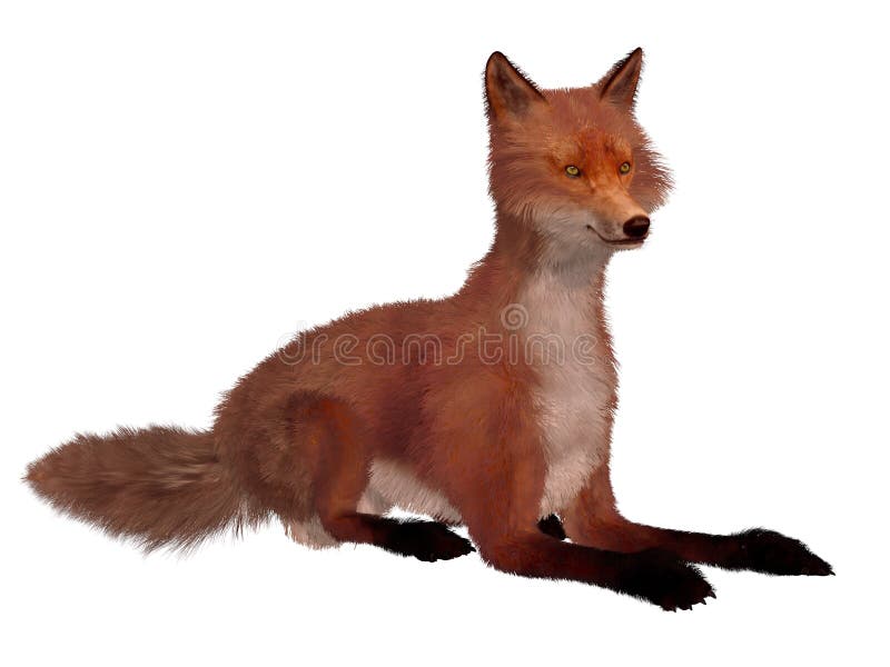 3d Illustration of an Realistic Fox Stock Illustration - Illustration ...