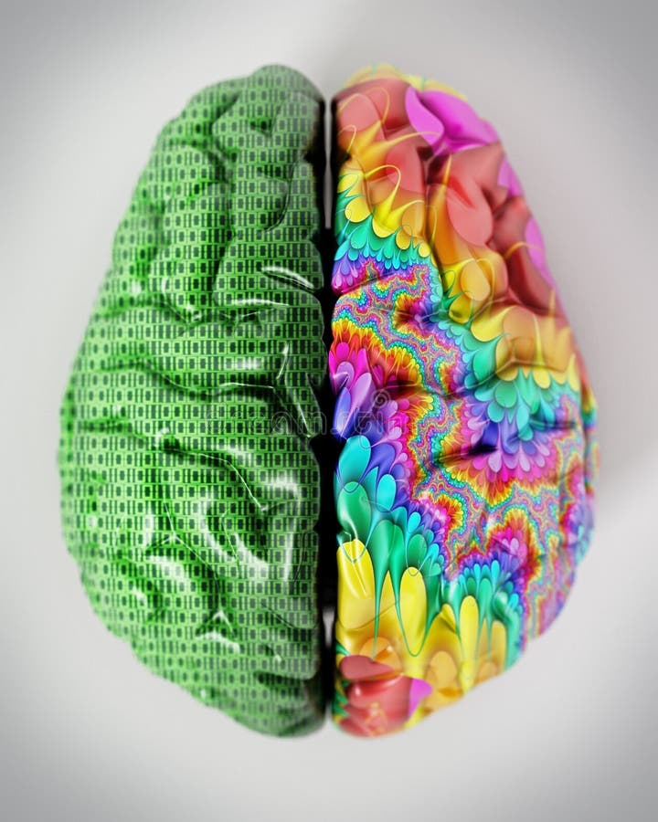 3D Illustration Representing Two Lobes of the Human Brain Stock ...