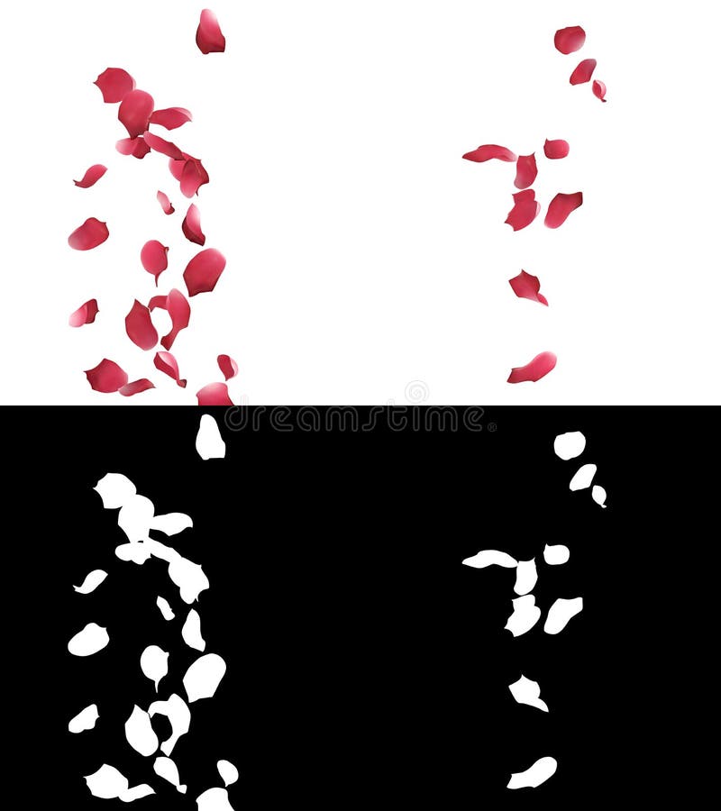 Animated Flower Petals Stock Illustrations – 72 Animated Flower Petals ...