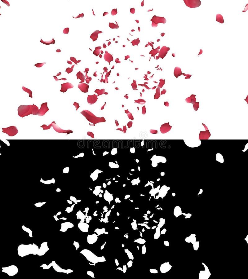 Animated Flower Petals Stock Illustrations – 72 Animated Flower Petals ...