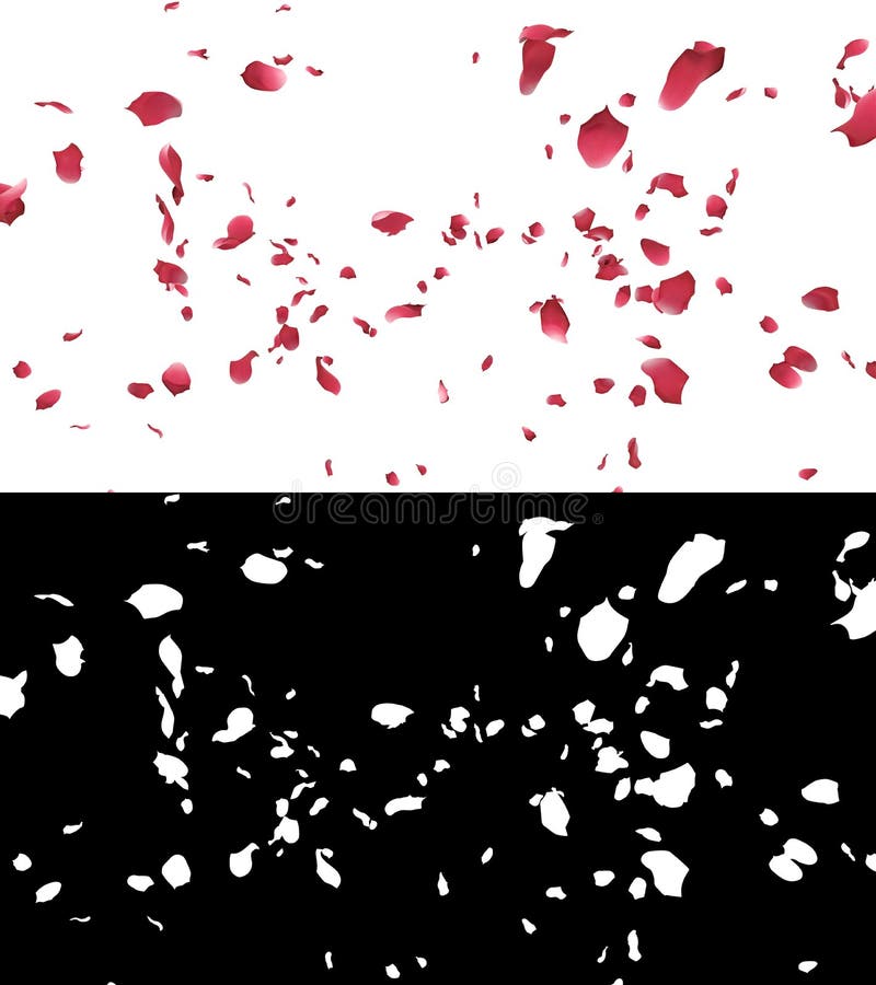 Animated Flower Petals Stock Illustrations – 72 Animated Flower Petals ...