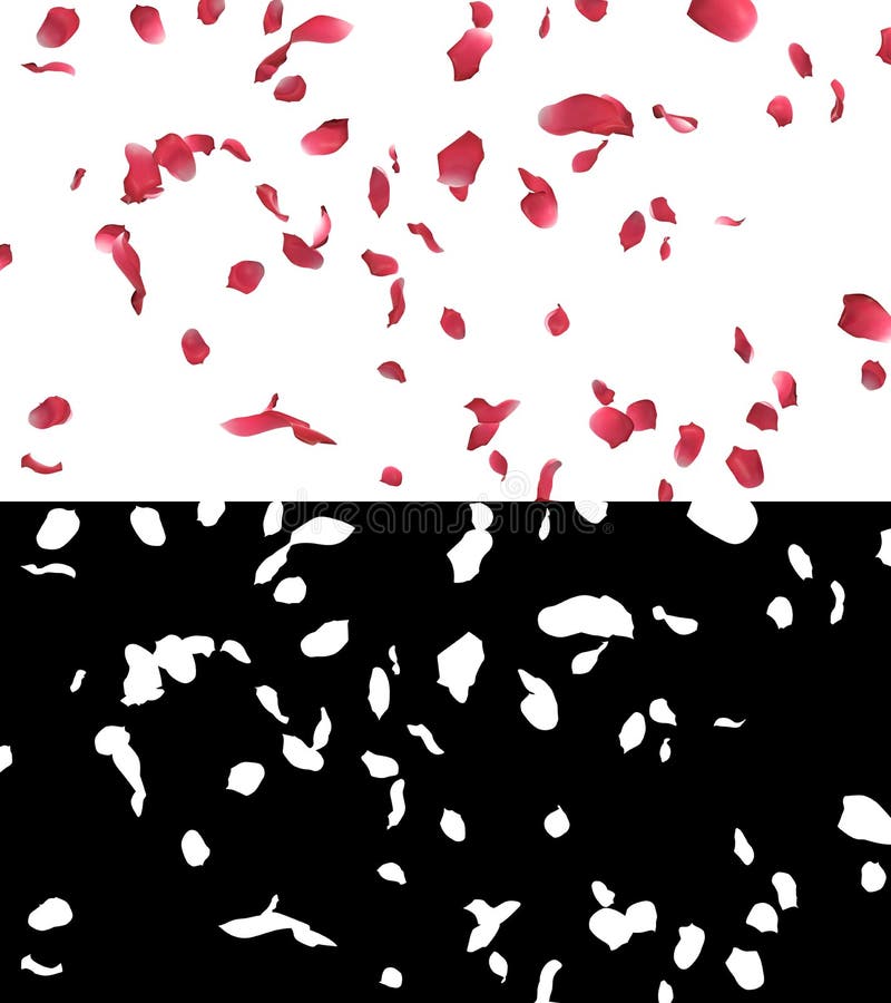 Animated Flower Petals Stock Illustrations – 72 Animated Flower Petals ...
