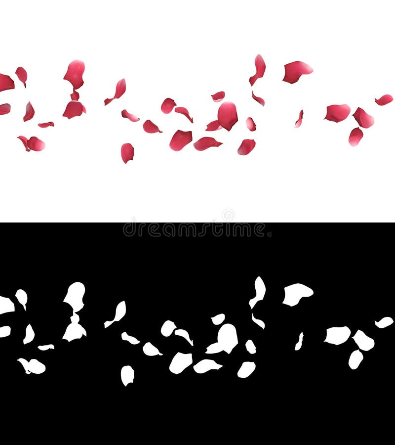 Animated Flower Petals Stock Illustrations – 72 Animated Flower Petals ...