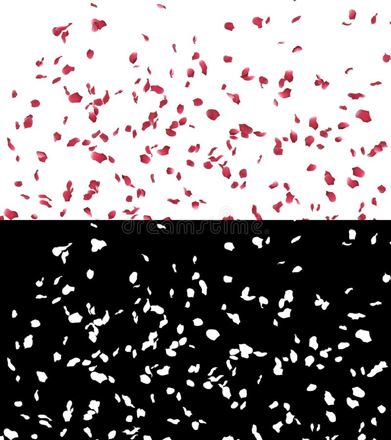 Animated Flower Petals Stock Illustrations – 72 Animated Flower Petals ...