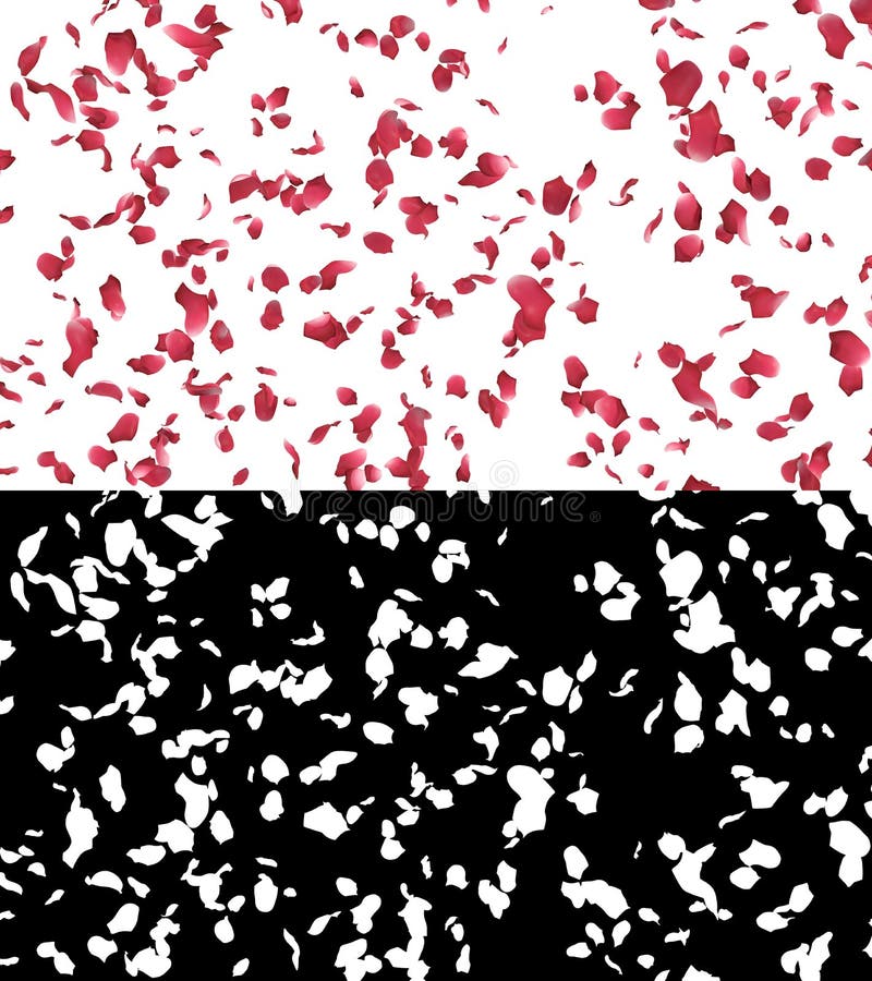 Animated Flower Petals Stock Illustrations – 72 Animated Flower Petals ...