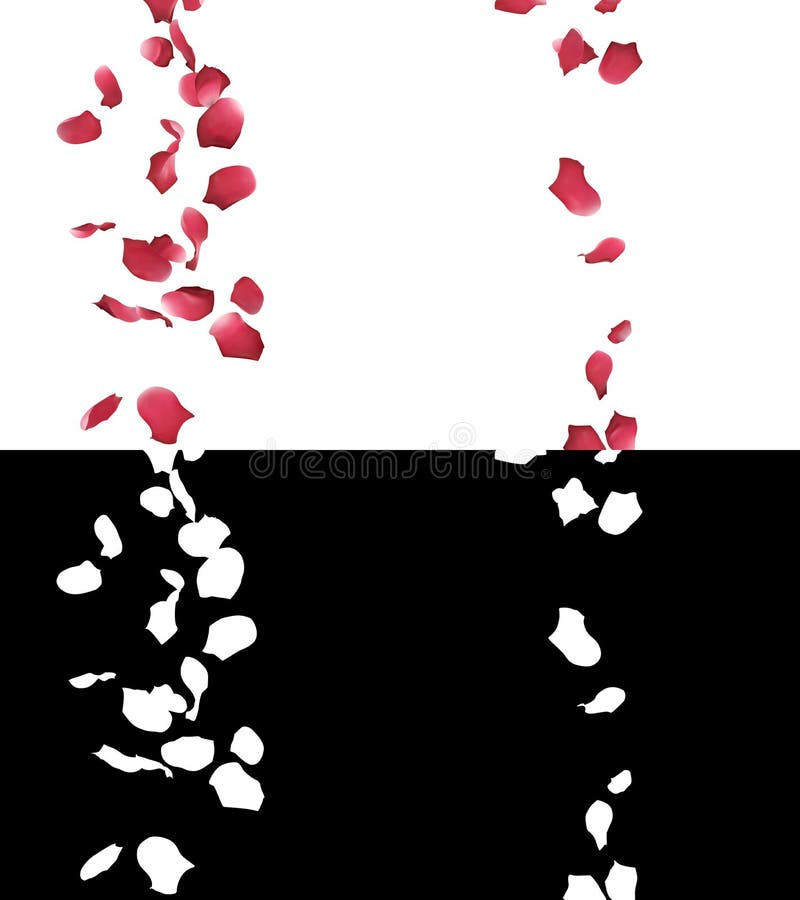 Animated Flower Petals Stock Illustrations – 72 Animated Flower Petals ...