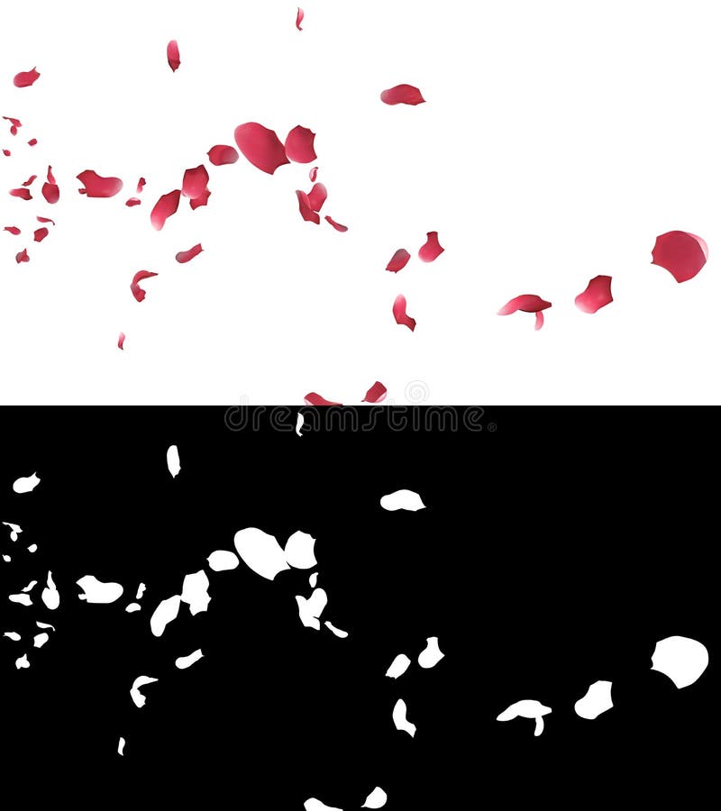 Animated Flower Petals Stock Illustrations – 72 Animated Flower Petals ...