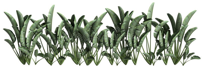 Row Crops Stock Illustrations – 235 Row Crops Stock Illustrations ...